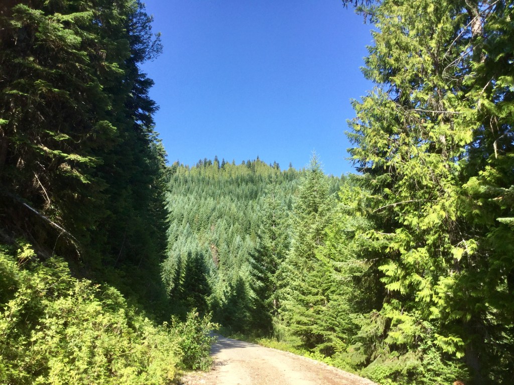 Bitterroot Mountains and the Lewis and Clark Wendover Ridge Hike ...