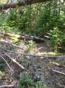 Bitterroot Mountains and the Lewis and Clark Wendover Ridge Hike ...
