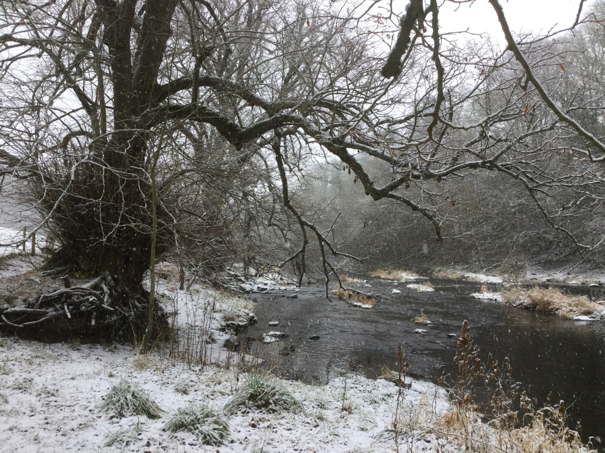 David Hume Walk along the Whiteadder River, looking east and north ...
